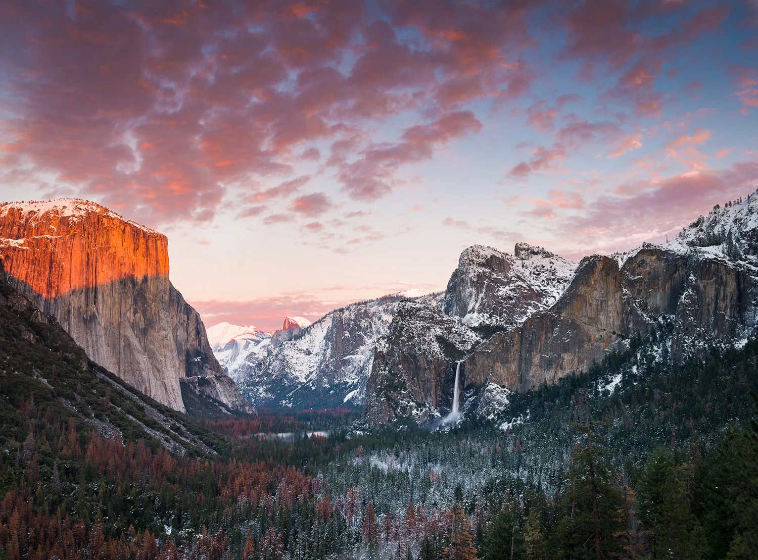 Prints — Nigel Danson