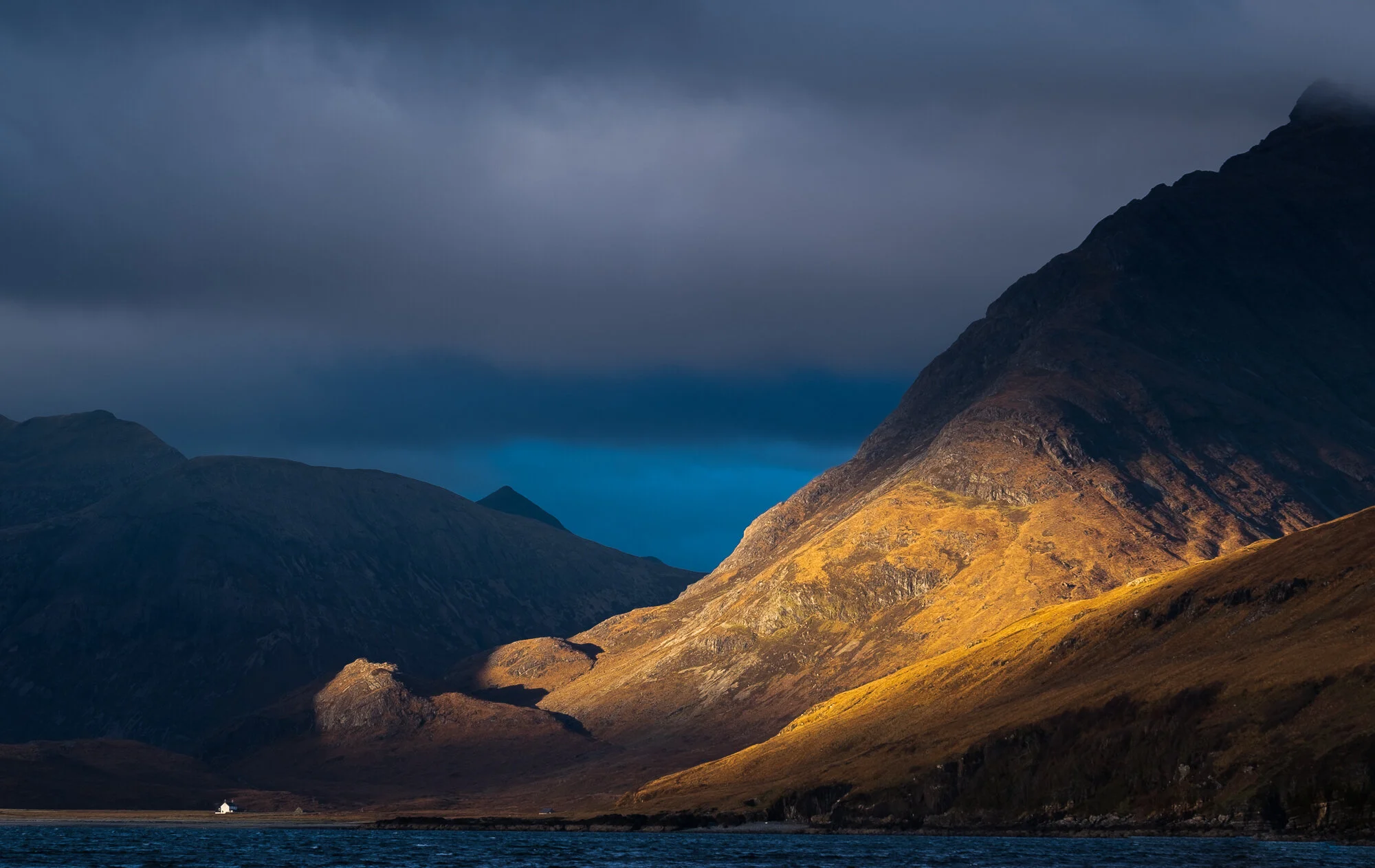 Prints — Nigel Danson