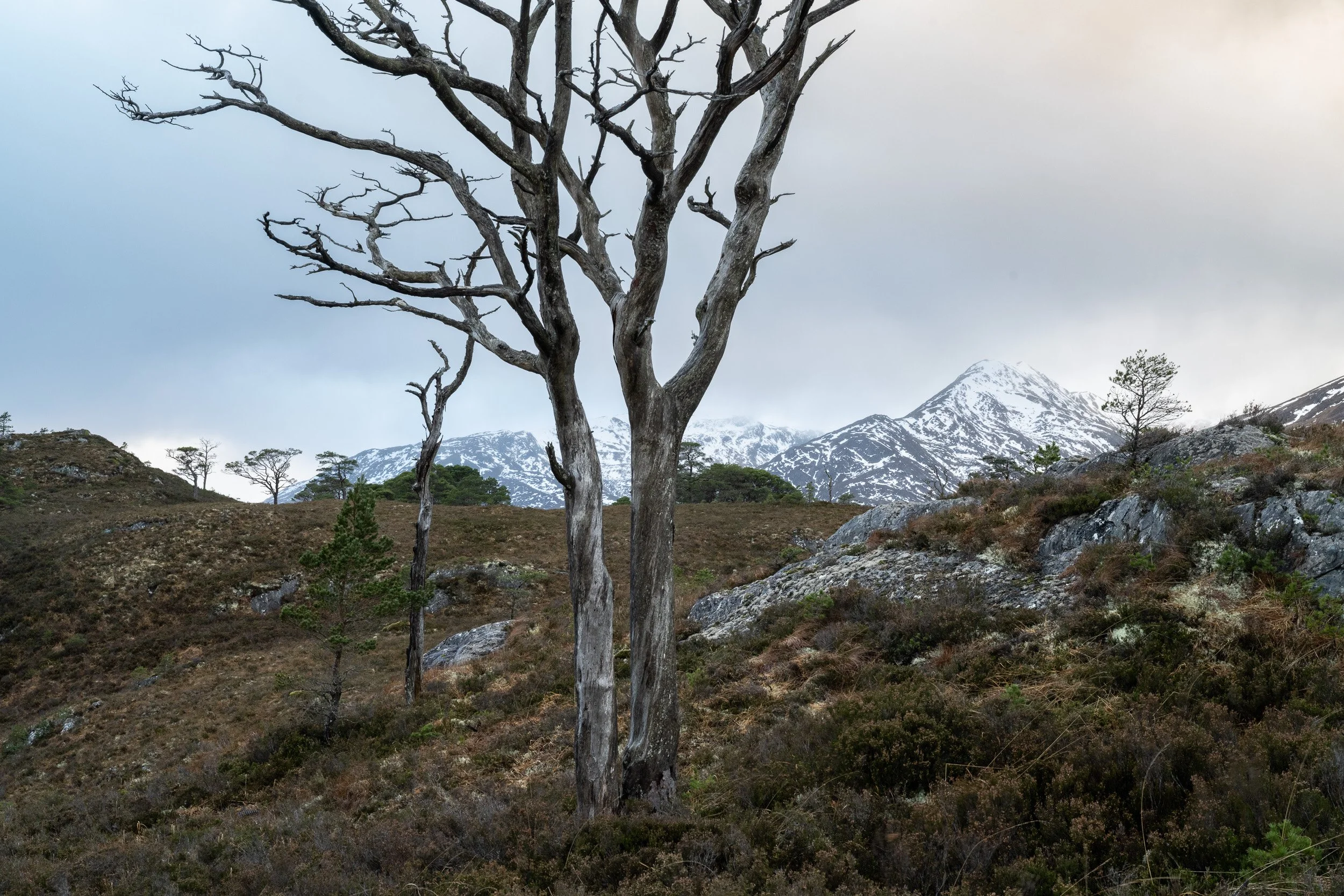 Blog — Nigel Danson