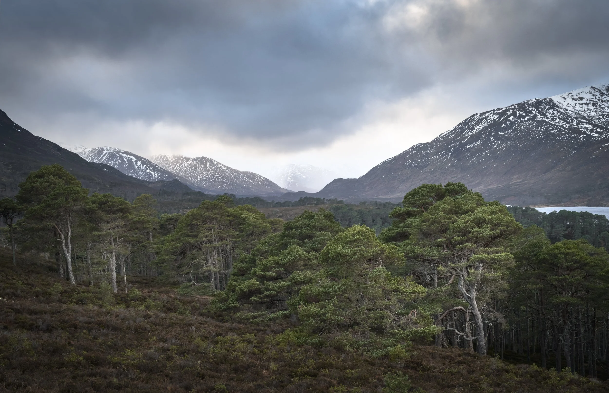 Blog — Nigel Danson