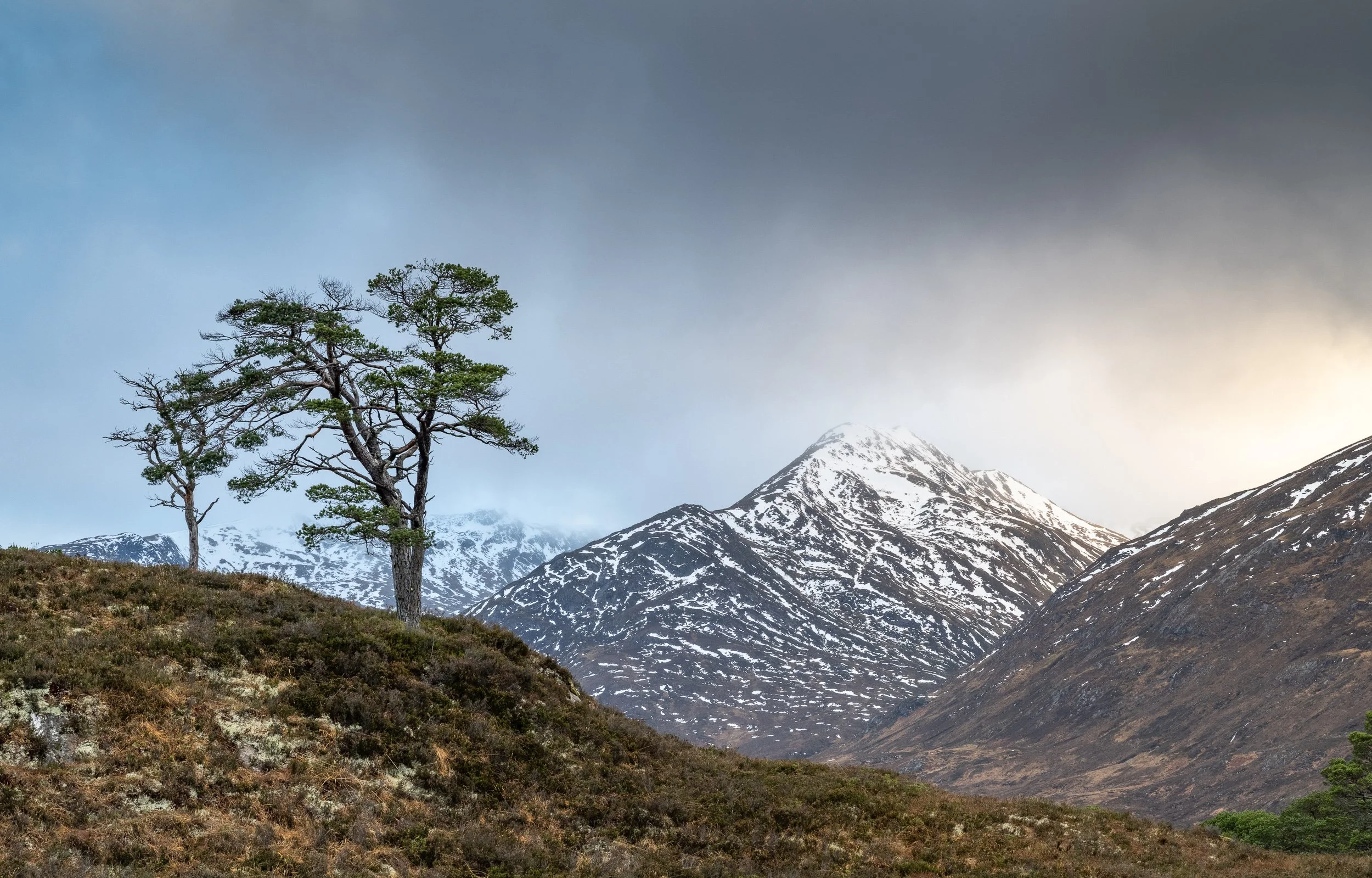 Blog — Nigel Danson