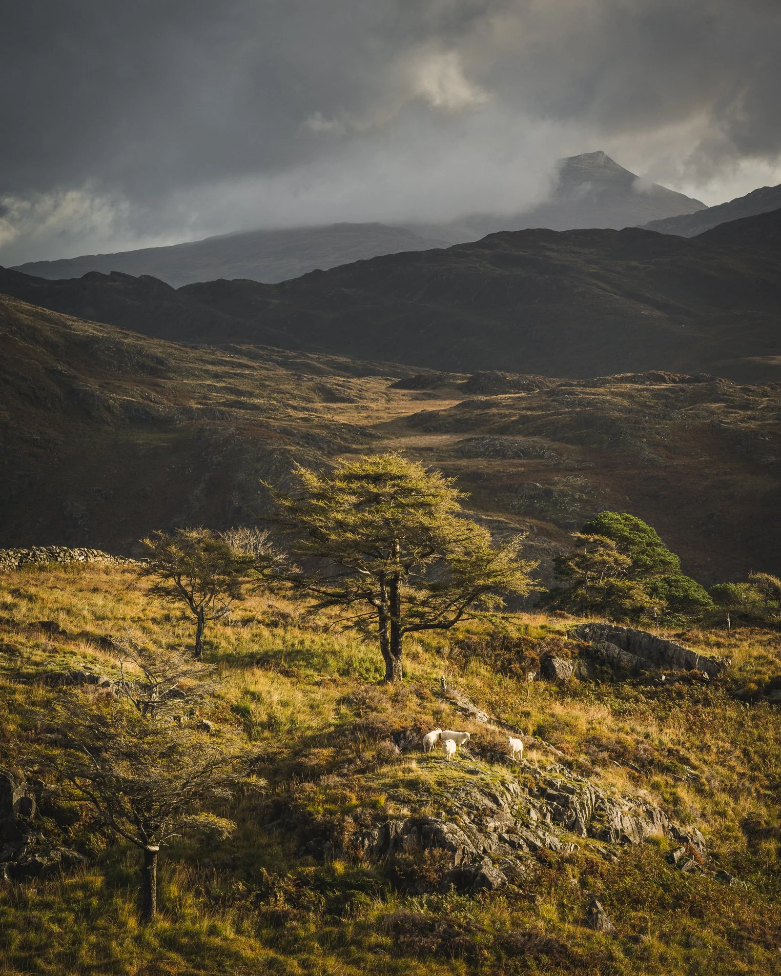Transient Light in Snowdonia — Nigel Danson