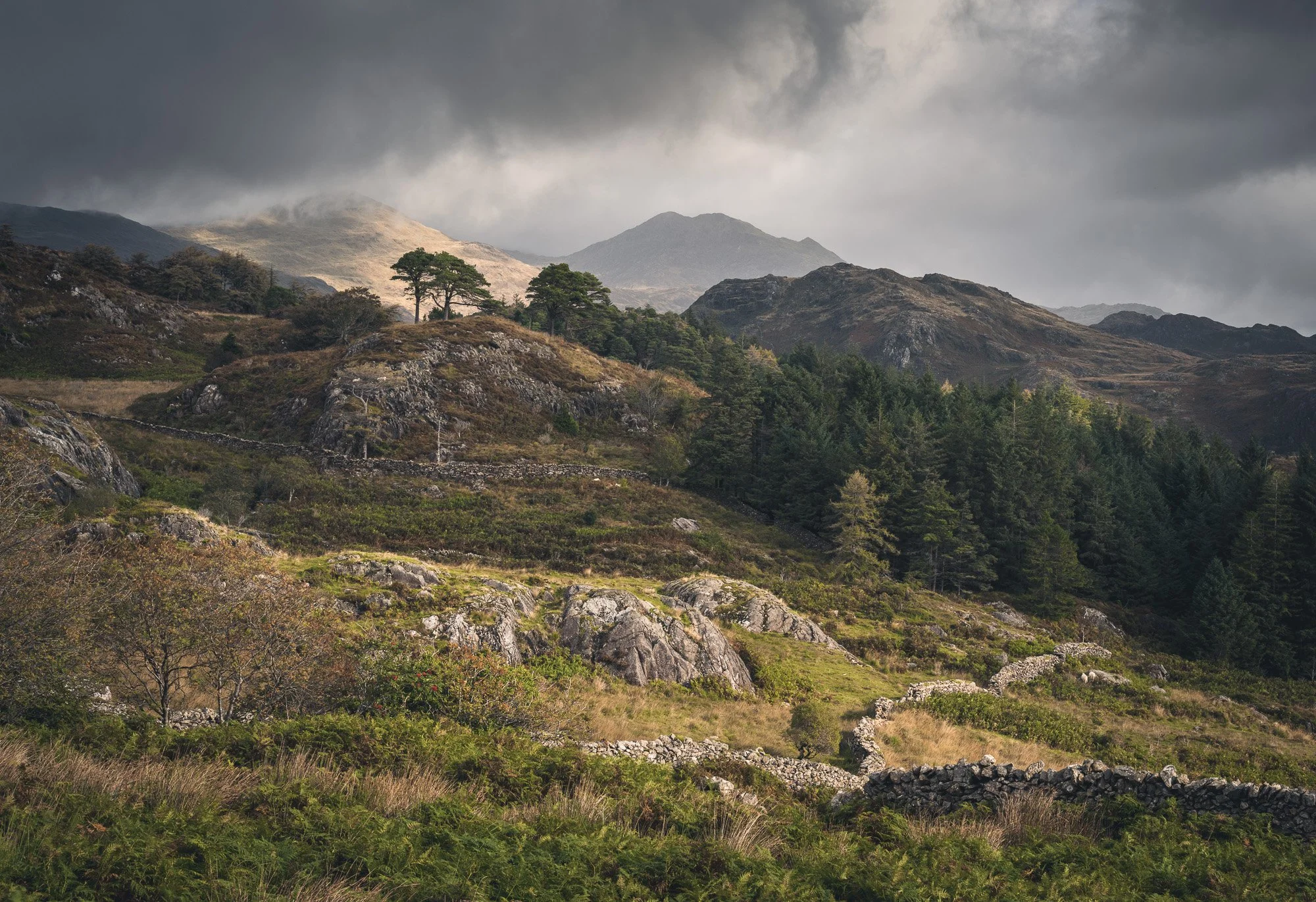 Transient Light in Snowdonia — Nigel Danson