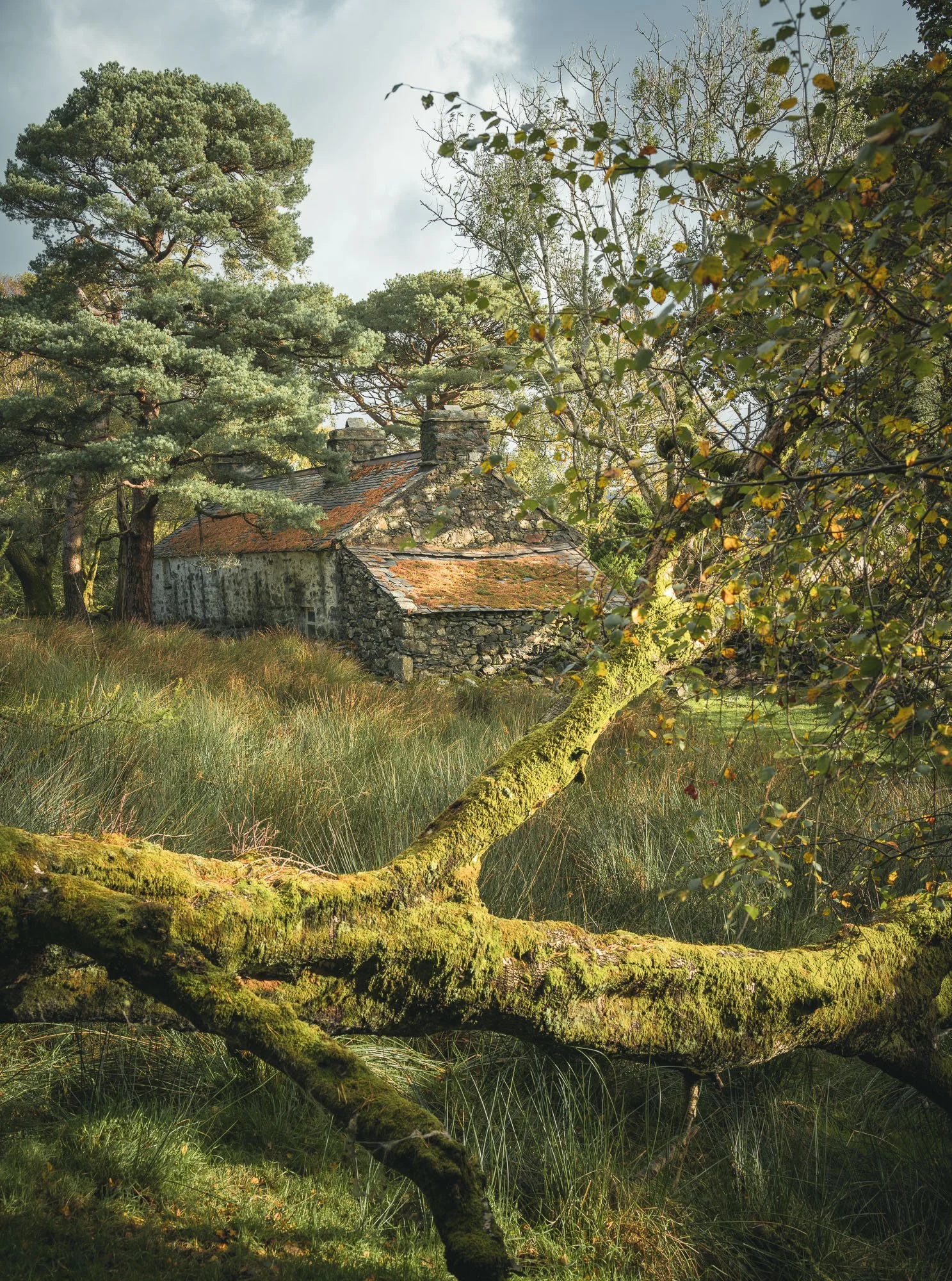 Transient Light in Snowdonia — Nigel Danson