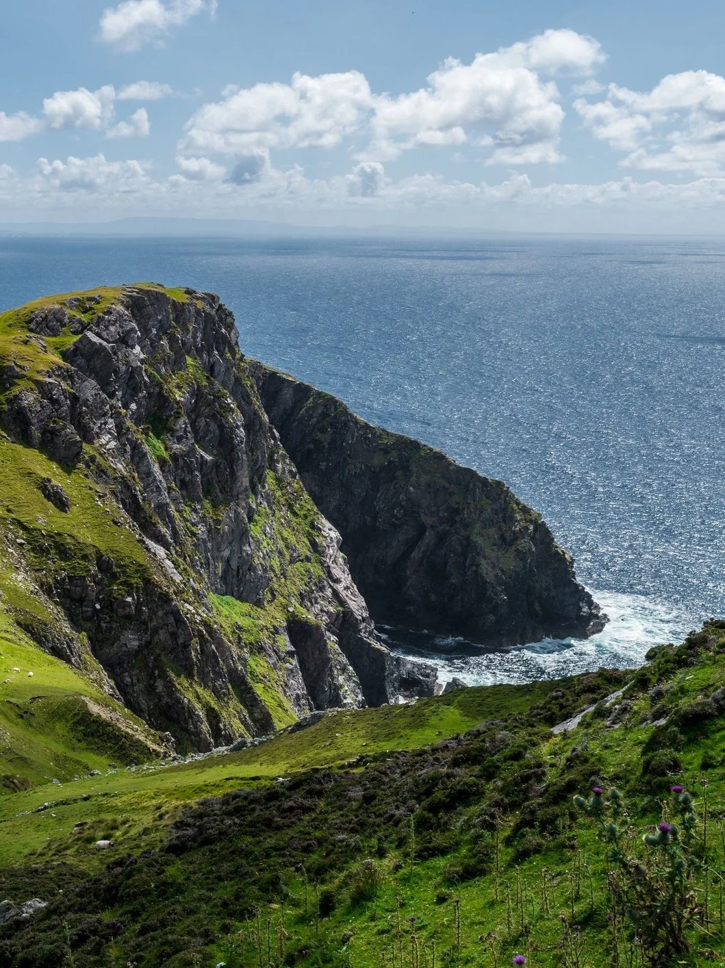 Donegal Tweed - Made in Ireland — Orwell & Browne | Donegal Tweed ...