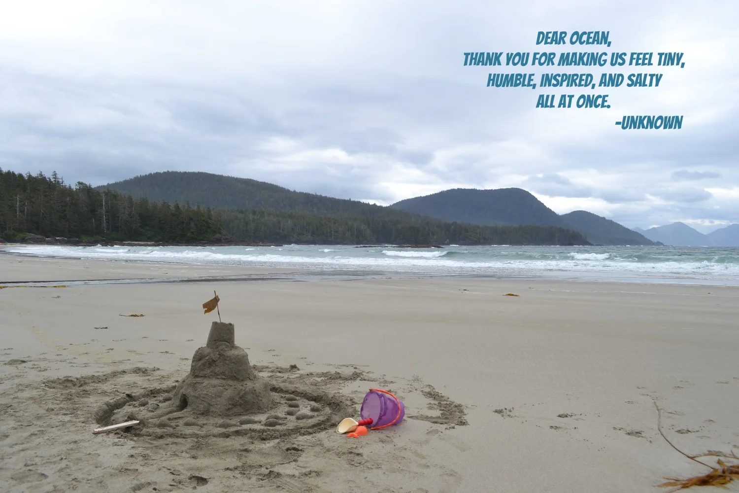 Grant Bay — Cove Adventure Tours - Explore Northern Vancouver Island