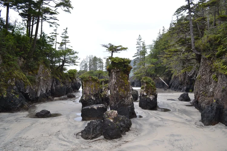 Explore San Josef Bay The Easy Way! — Cove Adventure Tours - Explore ...