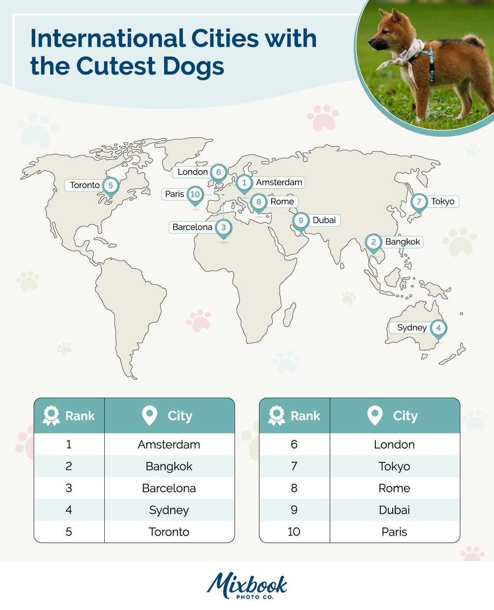 Study: U.S. Cities with The Cutest Dogs — Mixbook Inspiration