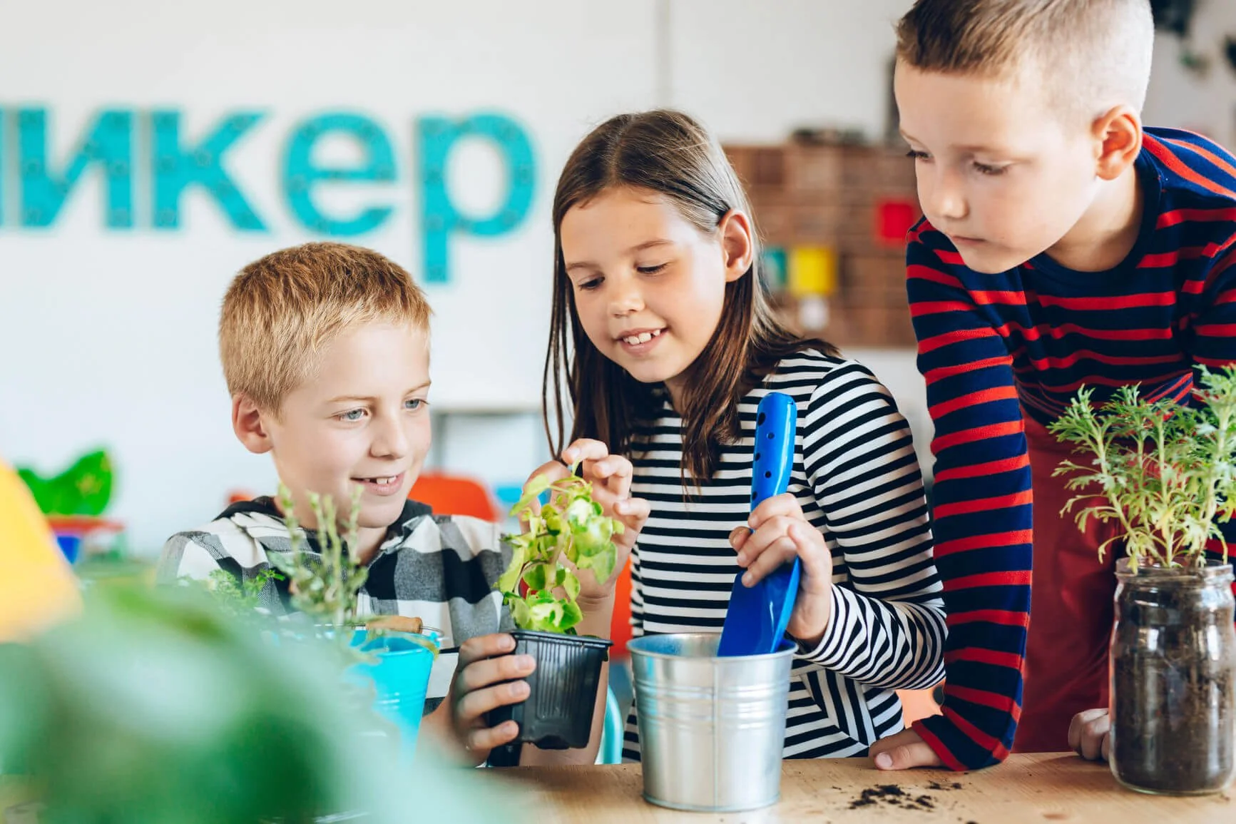 Mixbook in the classroom: Ways that educators can use Mixbook