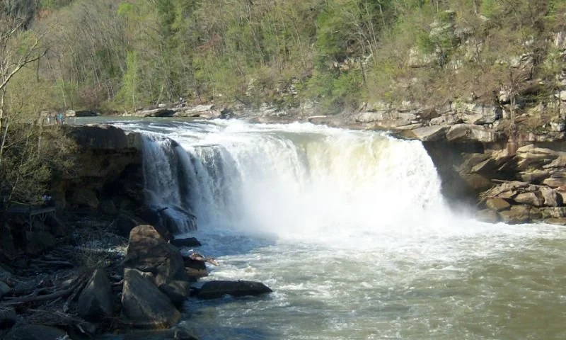 Discover America's Hidden Picnic Gems: Top 125 Off-Grid Spots for Your ...