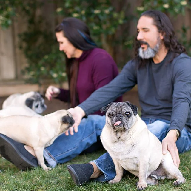 Heartwarming Pet Adoption Stories