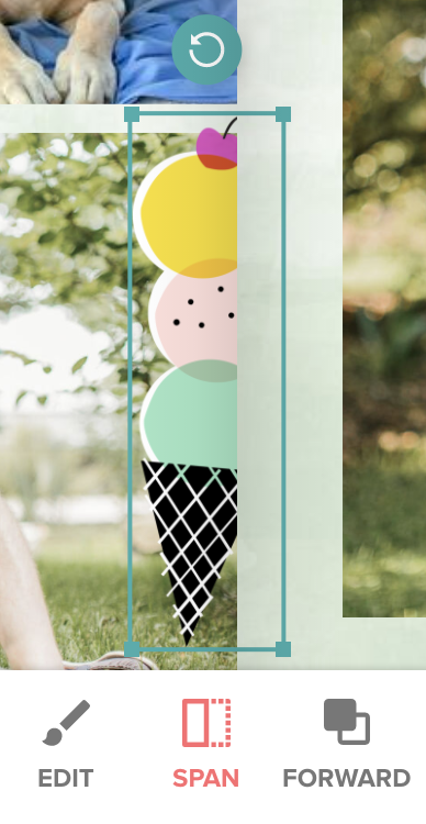 Mixbook Editor 101: 7 Sticker Tools You Need to Know — Mixbook Inspiration