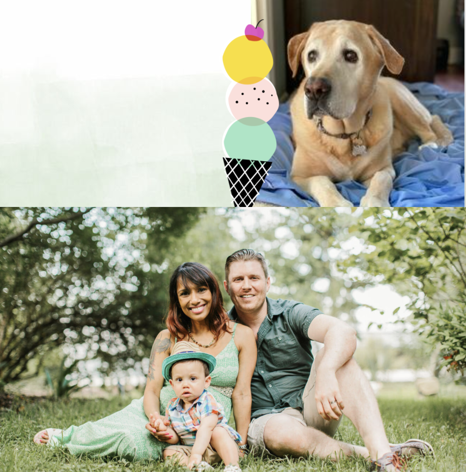 Mixbook Editor 101: 7 Sticker Tools You Need to Know — Mixbook Inspiration