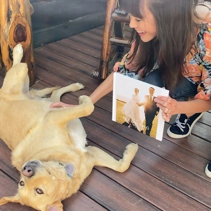 Home is Where the Heart Is - Free Sticker Pack — Mixbook Inspiration