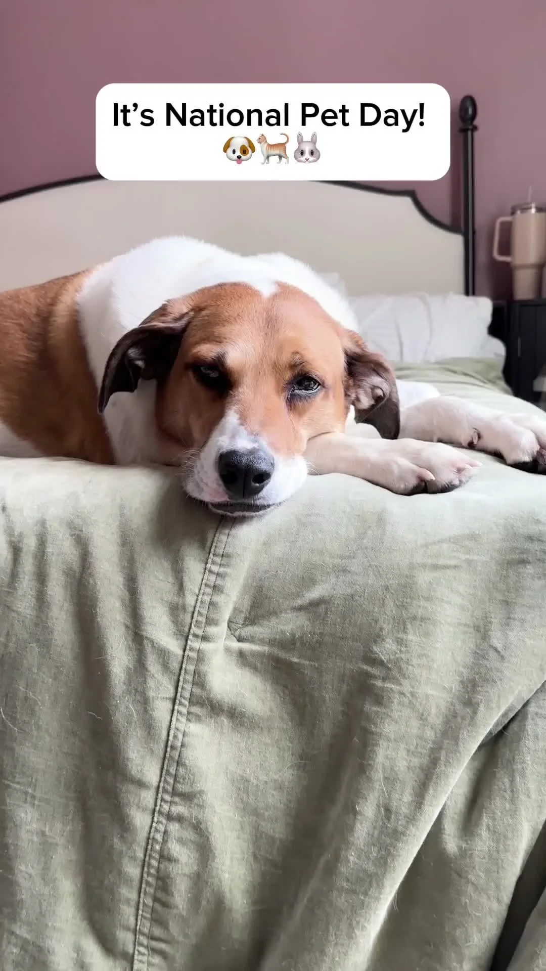 How to Write Graduation Announcements and Invitations — Mixbook Inspiration