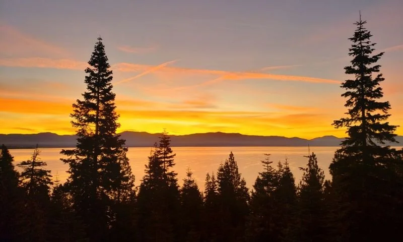 Summer Solstice — Mixbook Inspiration