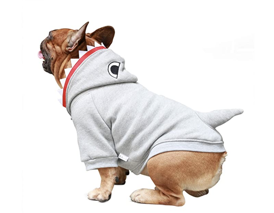 Best Pet Costume and Photoshoot Ideas — Mixbook Inspiration