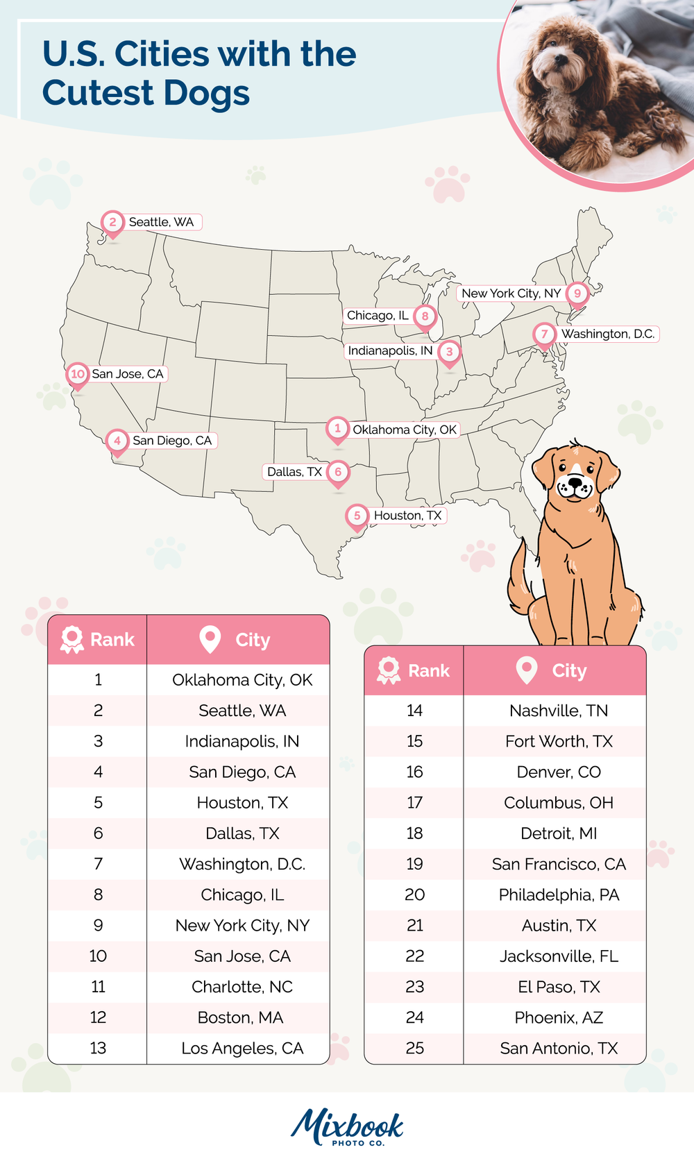 Study: U.S. Cities with The Cutest Dogs