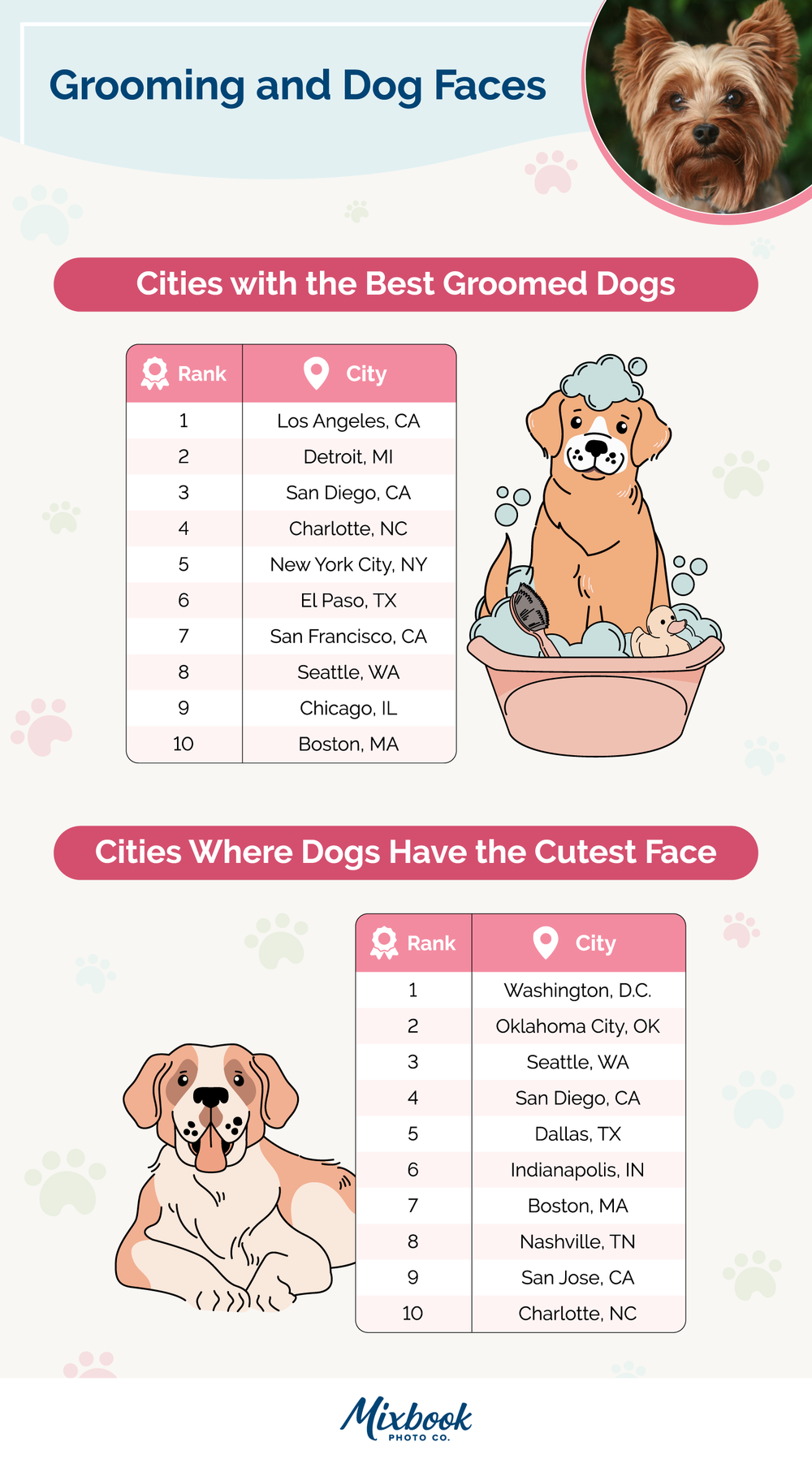 Study: U.S. Cities with The Cutest Dogs — Mixbook Inspiration