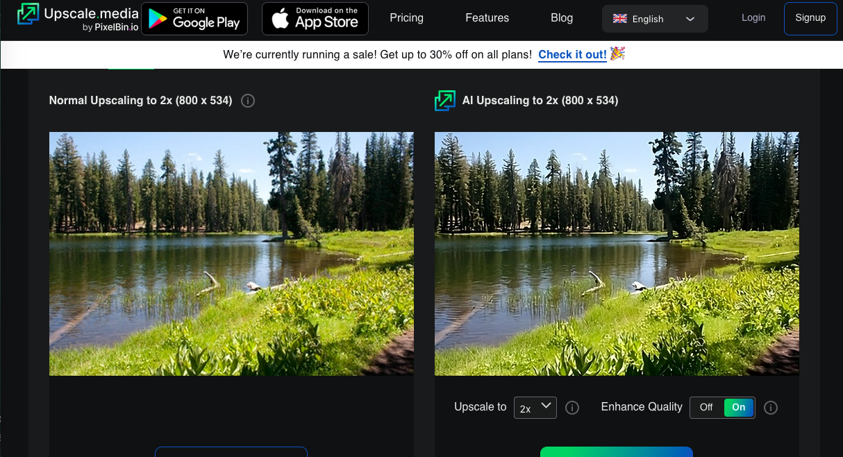 Testing AI Image Upscalers: Your Essential Guide to Scalers — Mixbook ...