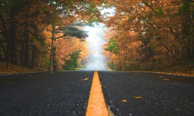 Through the Lens: The 100 Most Breathtaking Views in America