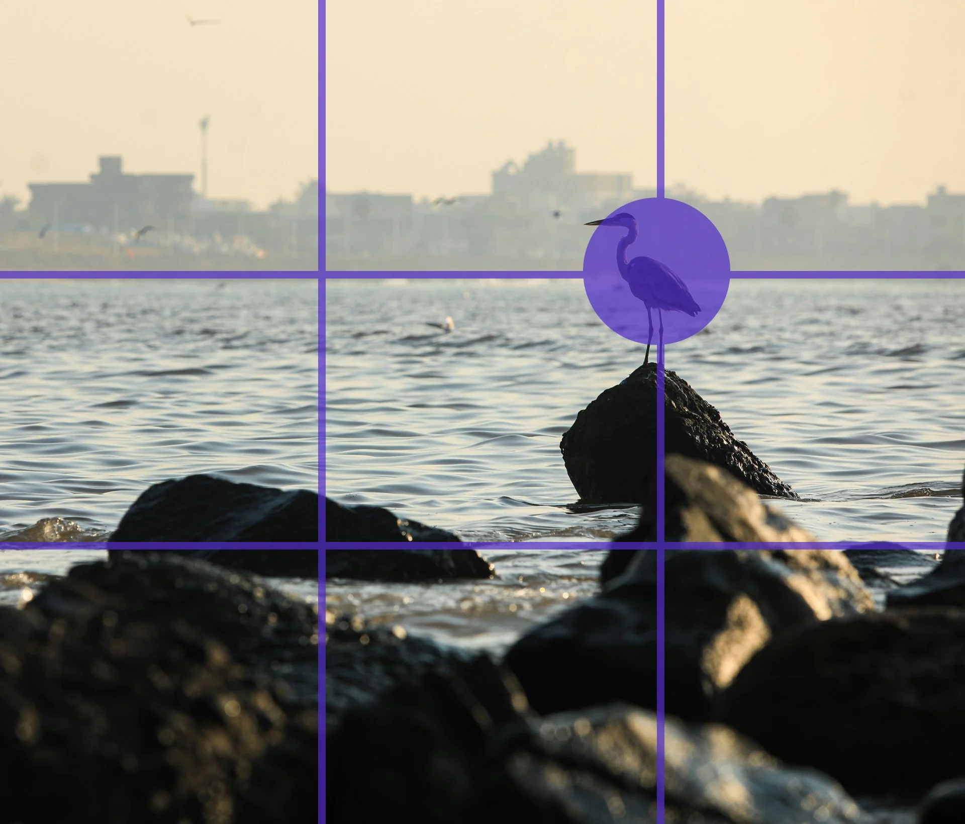 Mastering visual storytelling: The art of composition with the golden ...