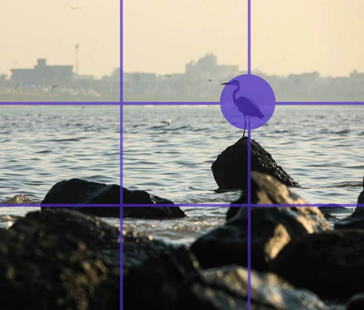 Mastering visual storytelling: The art of composition with the golden ...