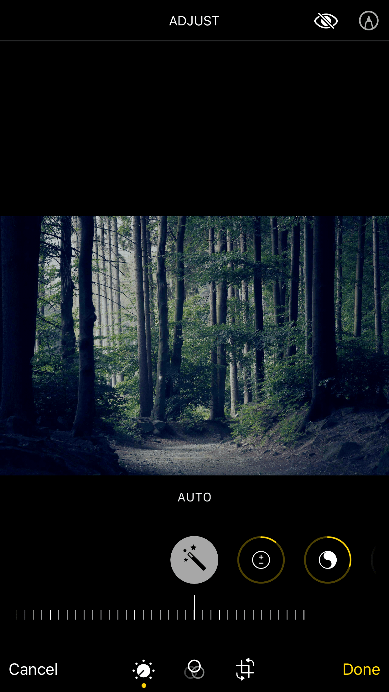 Photo Editing Tips & Tricks to Make Your Next Mixbook Stand Out