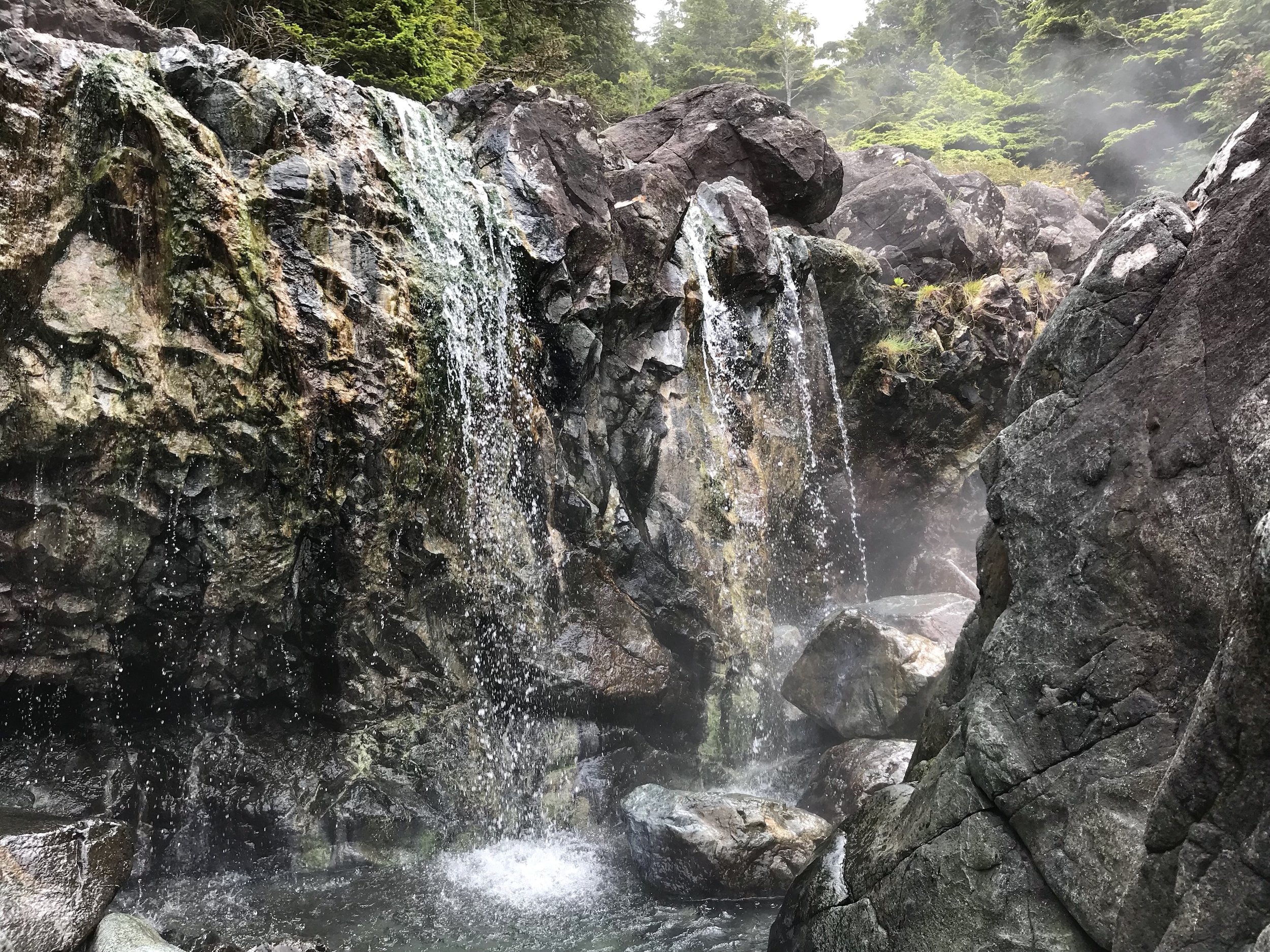 The Whale Centre, Tofino, BC | Tofino Whale Watching, Bear Watching ...