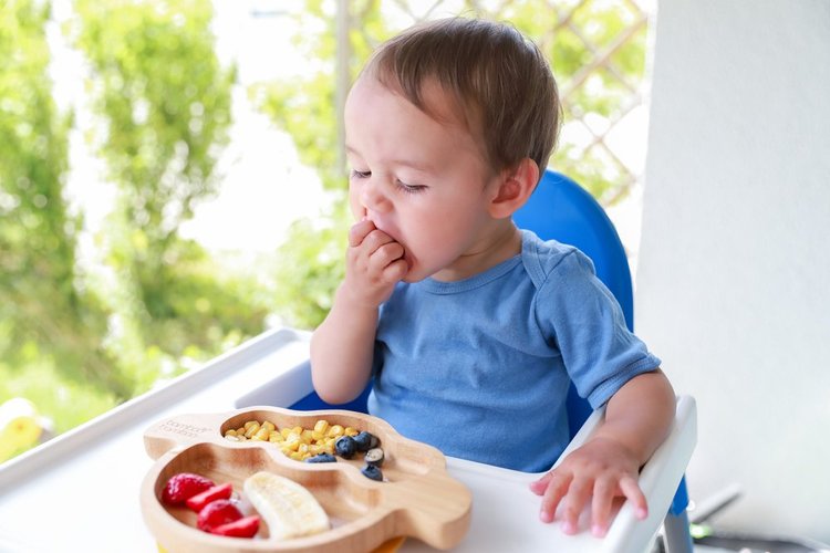 Autism, Picky Eating, and Your Child | Autism Dietitian