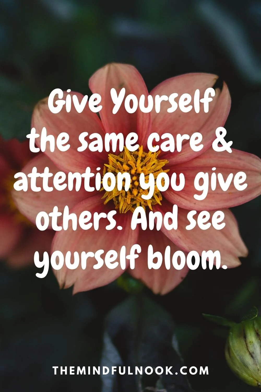 Inspirational Quotes to Keep You Encouraged, Motivated, and Mindful ...
