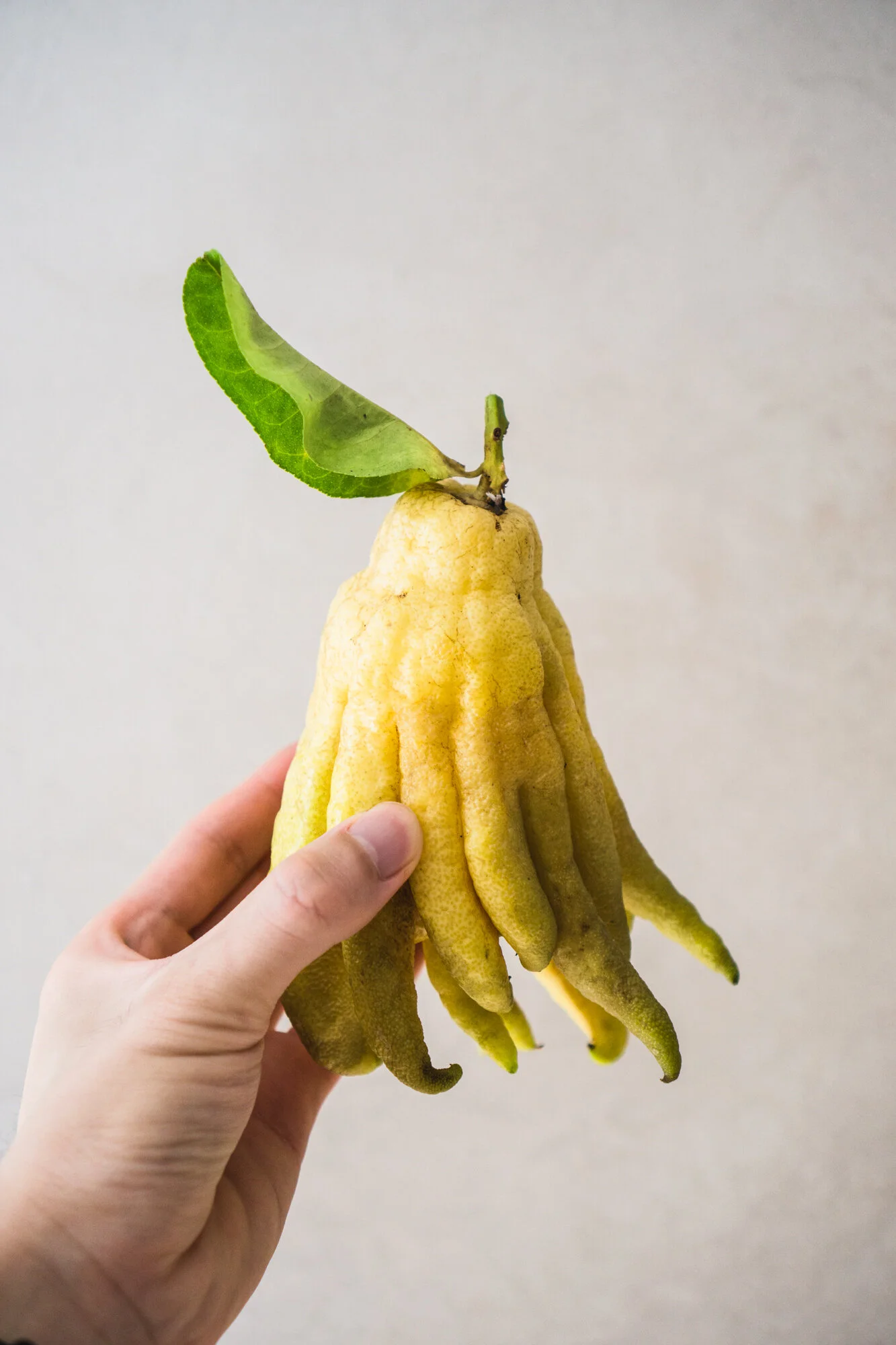 Buddha's Hand Candy — Jun & Tonic