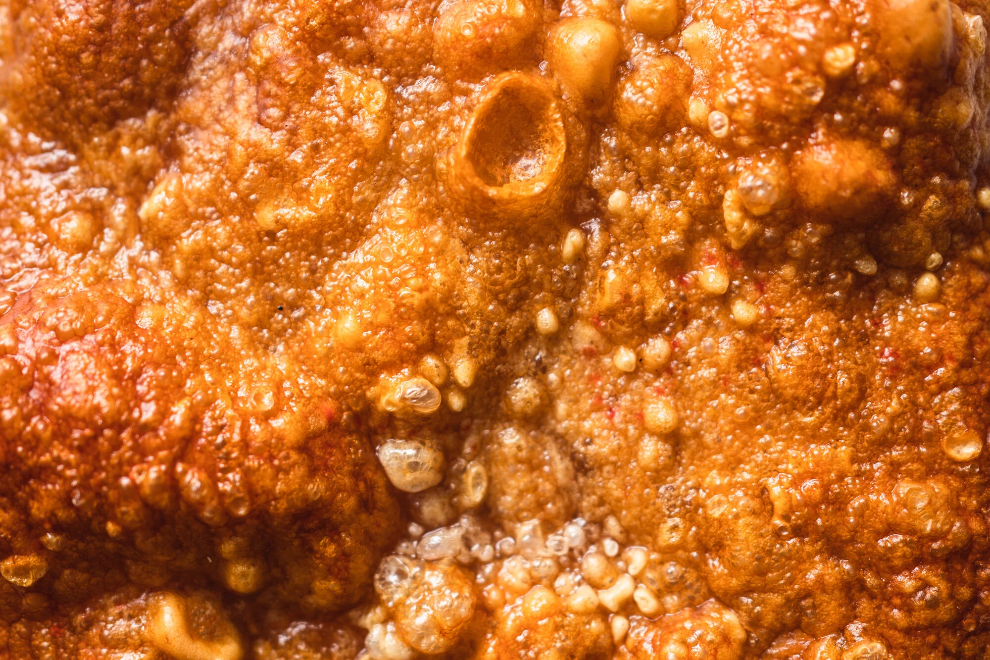 The Ultimate Recipe for Perfect Siu Yuk (烧肉)—Crispy Pork Belly, Every ...