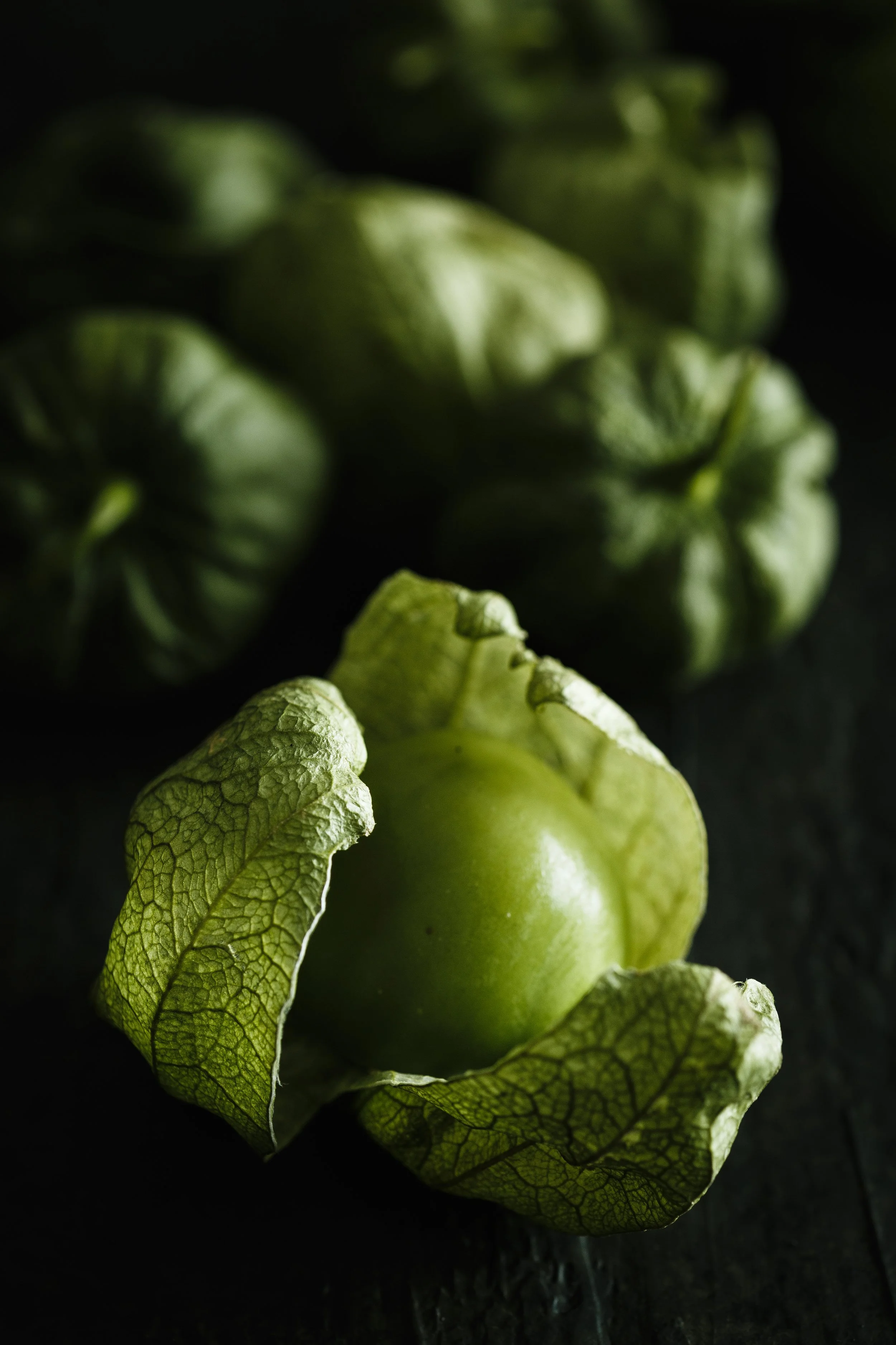 Amy Carson | Food & Beverage Photographer in San Diego