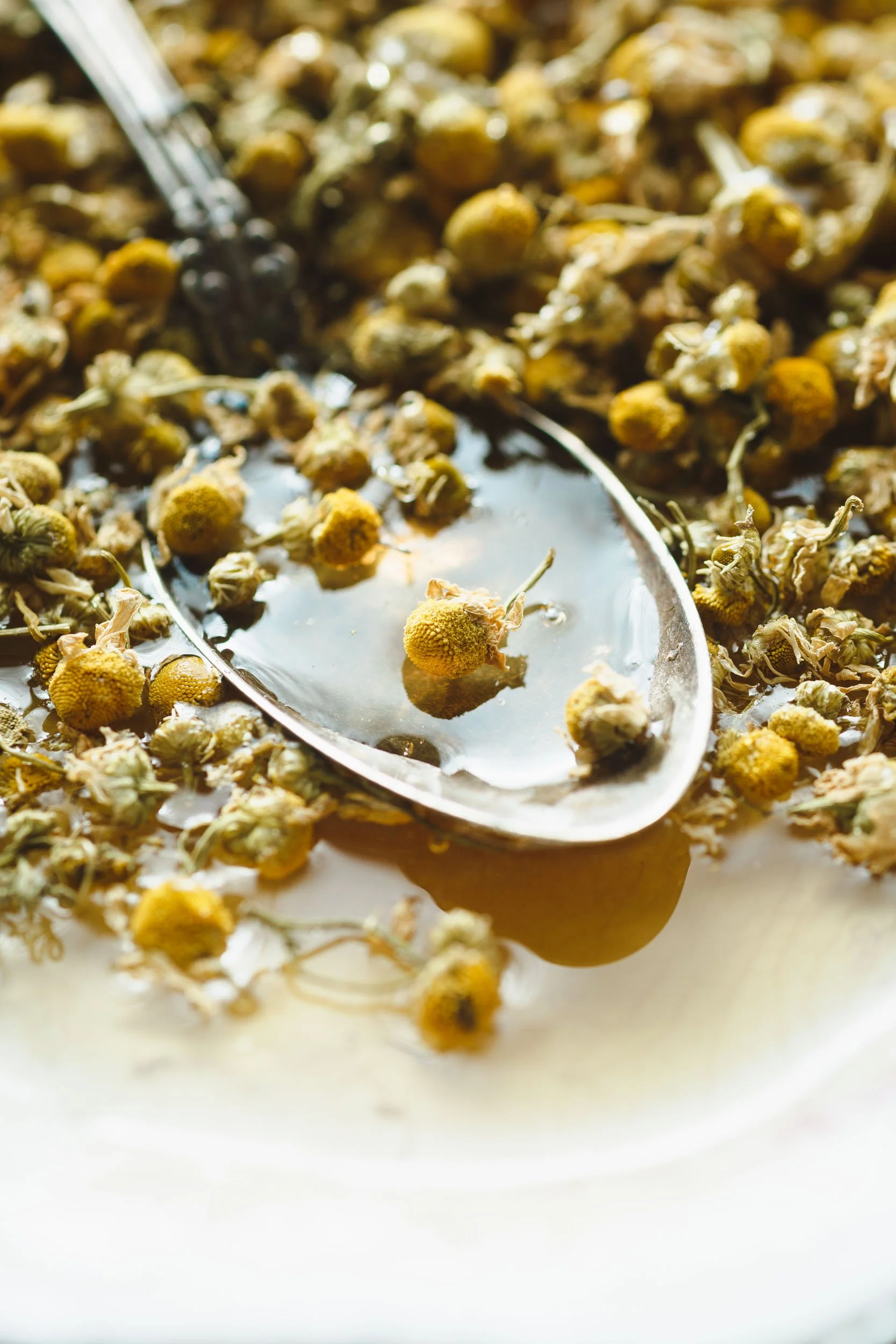 Amy Carson | San Diego Food Photographer