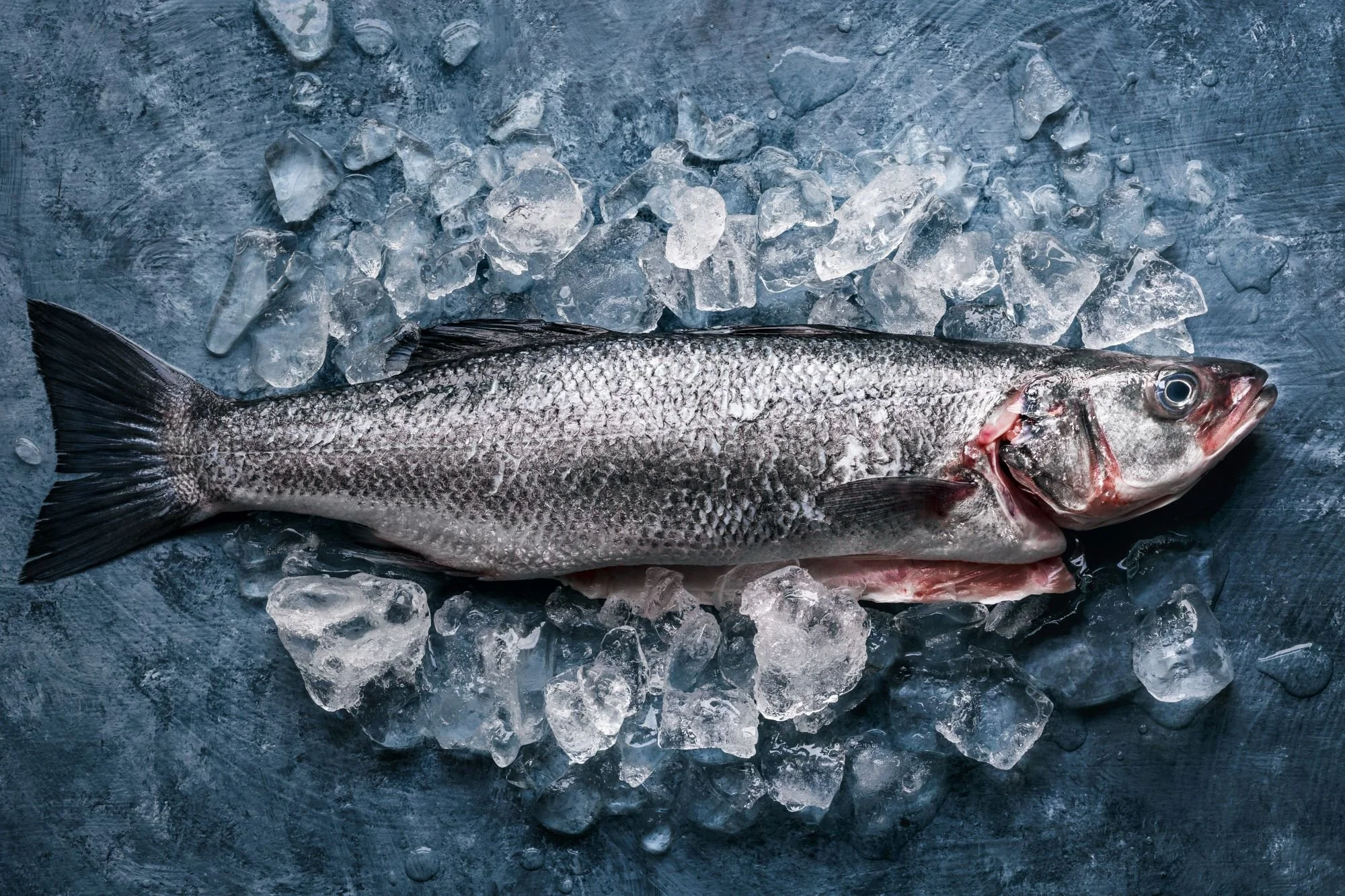 Amy Carson | San Diego Food Photographer