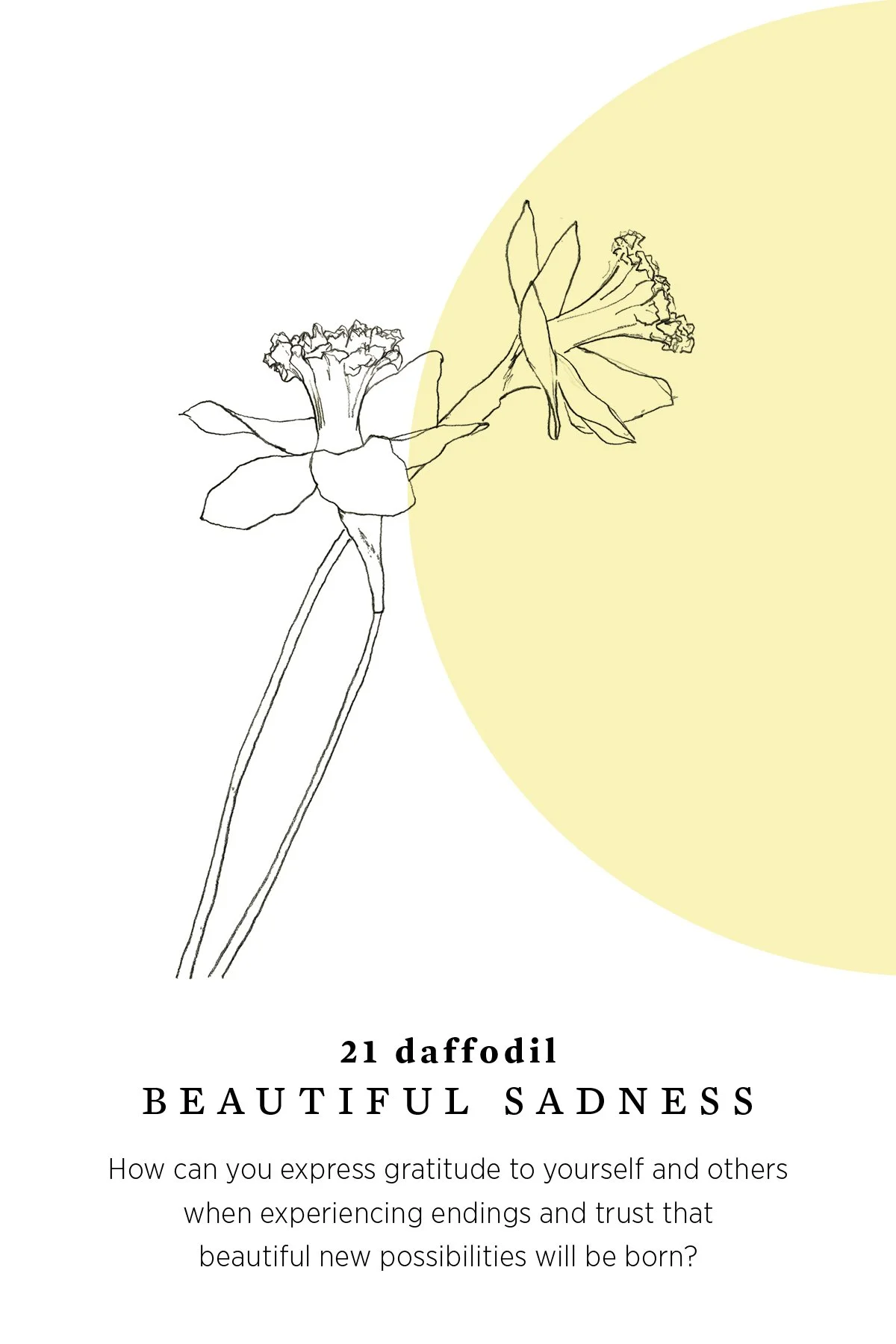 21 Beautiful Sadness — Gratitude Blooming