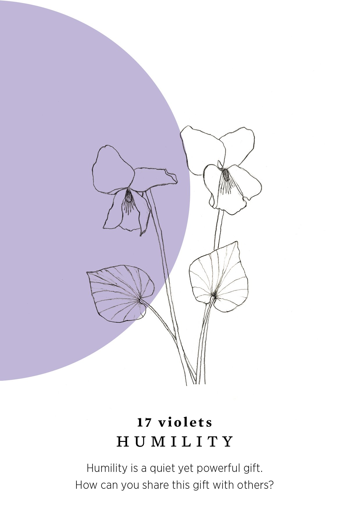 17 Humility — Gratitude Blooming