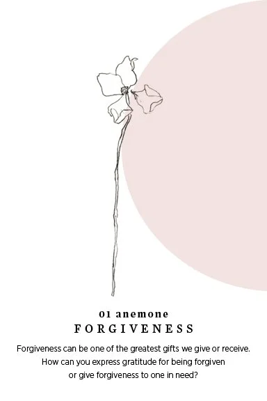 01 Forgiveness — Gratitude Blooming