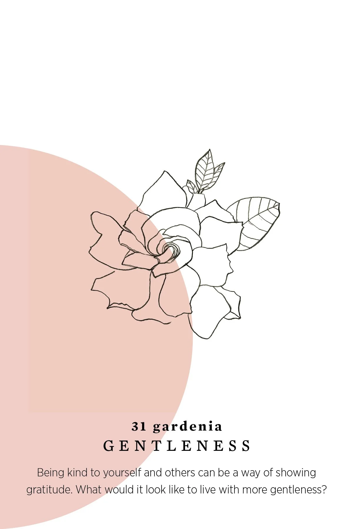 31 Gentleness — Gratitude Blooming