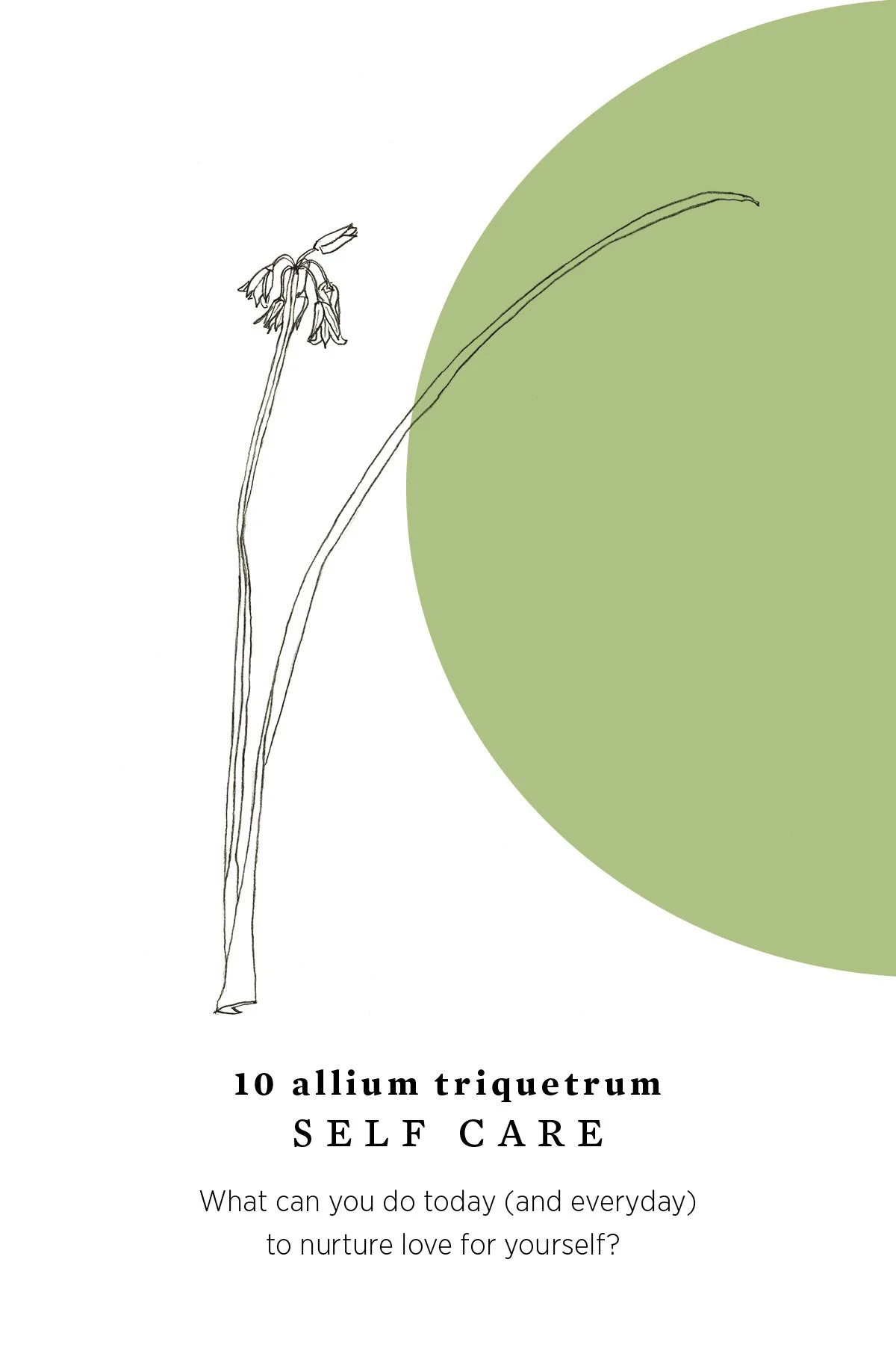 10 Self-care — Gratitude Blooming