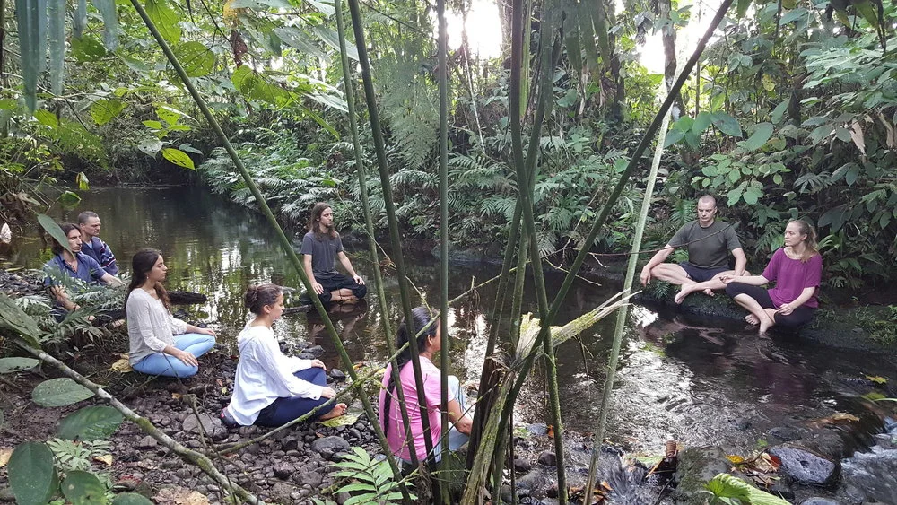 Amazonian Shamanism. Traditional Ayahuasca and Tobacco ceremony ...