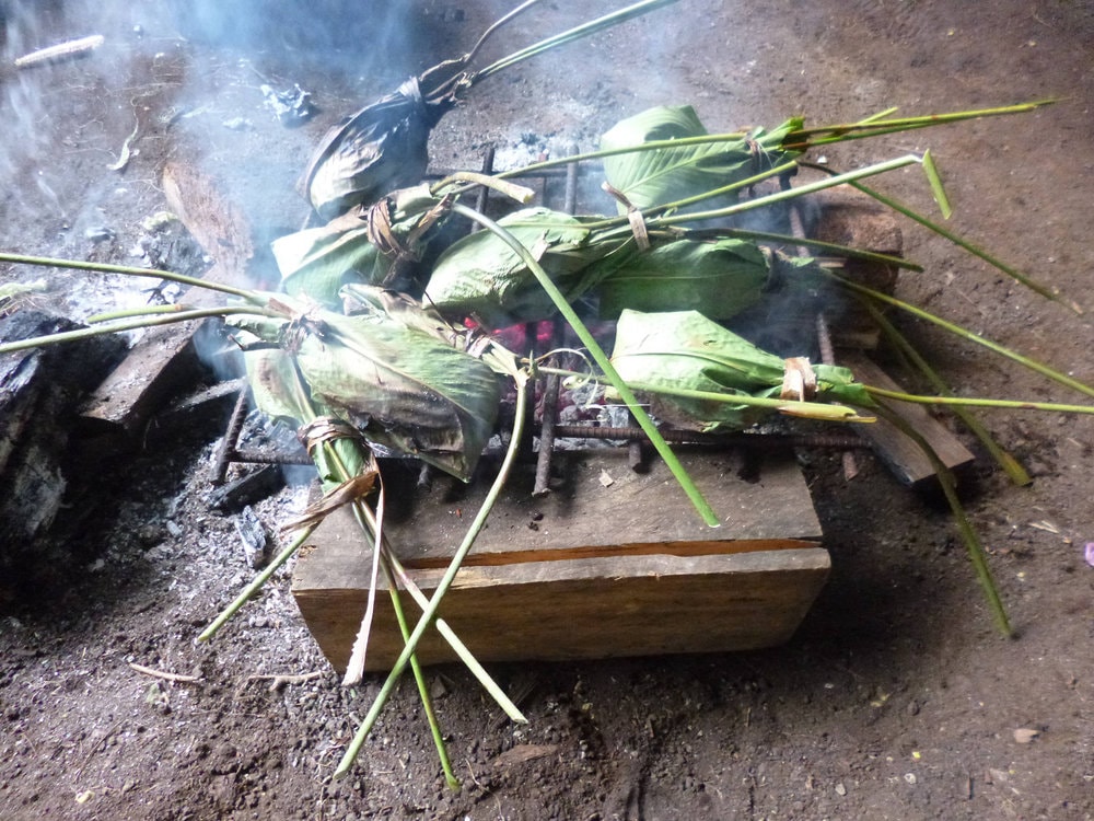 Amazonian Shamanism. Traditional Ayahuasca and Tobacco ceremony ...