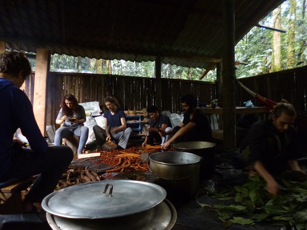 Amazonian Shamanism. Traditional Ayahuasca and Tobacco ceremony ...