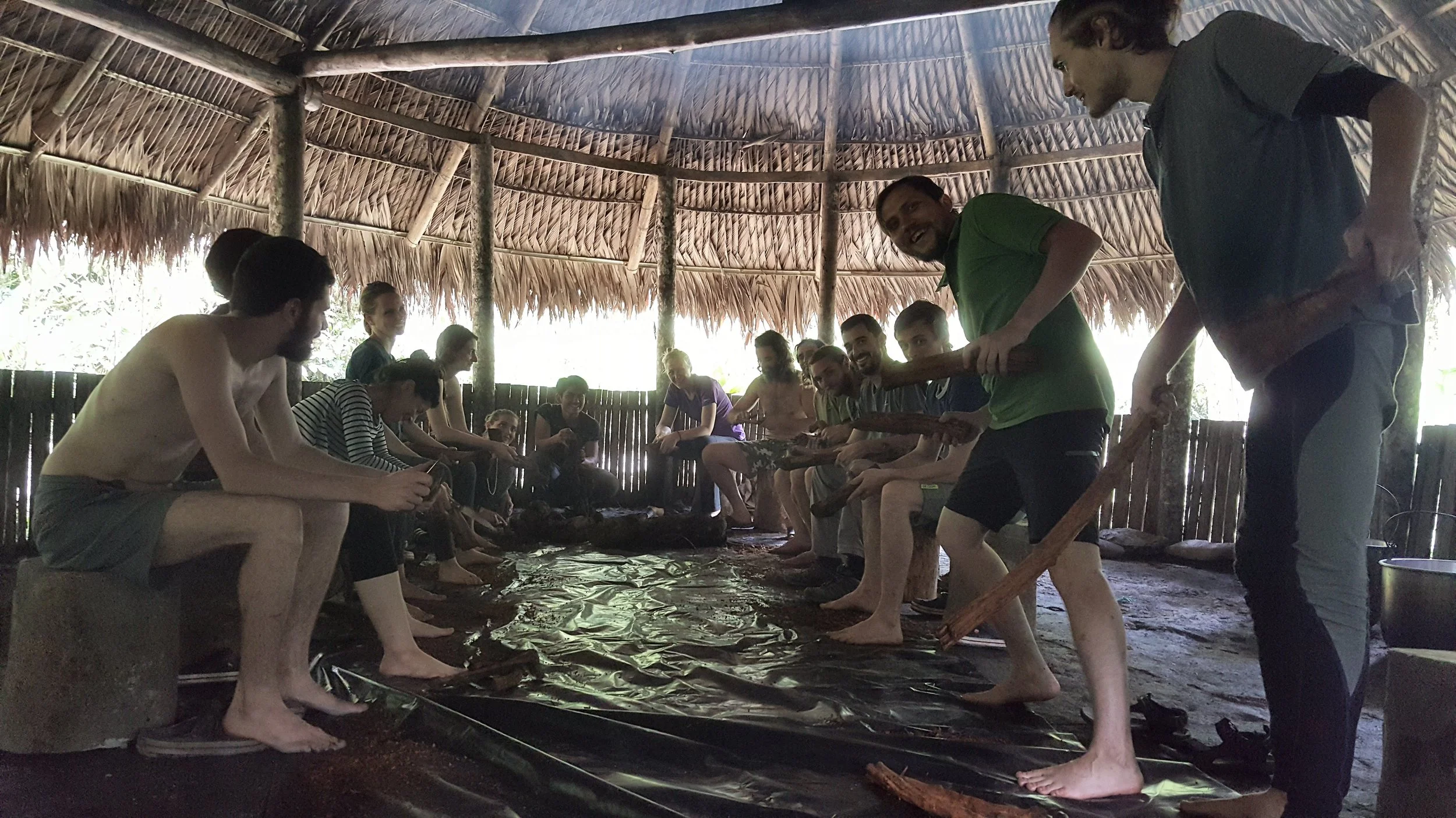 Amazonian Shamanism. Traditional Ayahuasca and Tobacco ceremony ...