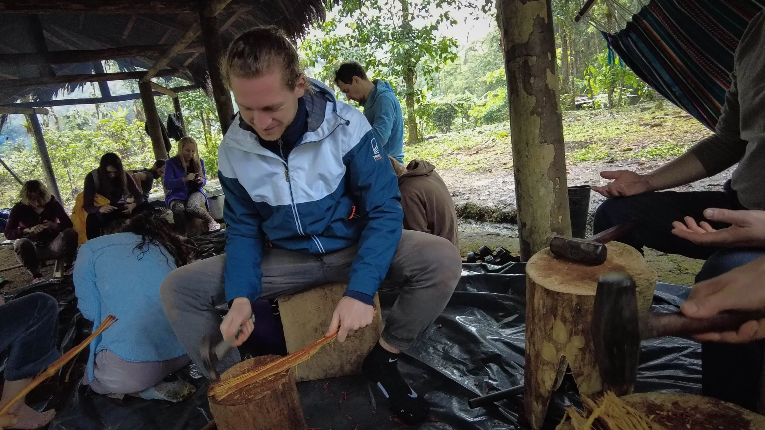 Amazonian Shamanism. Traditional Ayahuasca and Tobacco ceremony ...