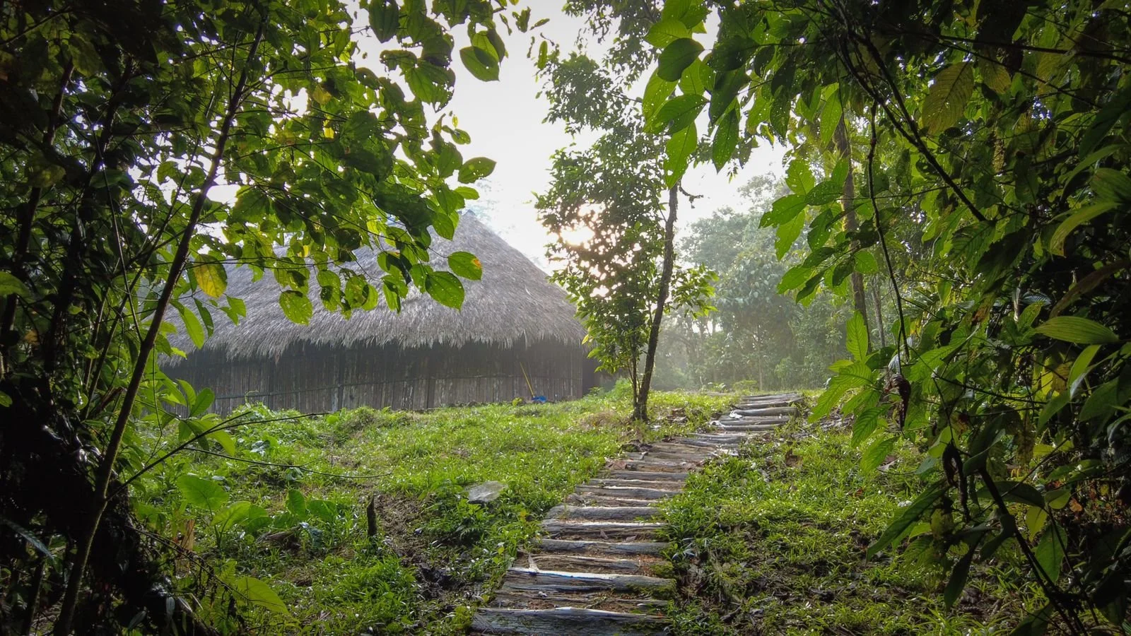 Amazonian Shamanism. Traditional Ayahuasca and Tobacco ceremony ...