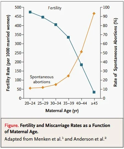 Advanced Maternal Age — Denver Holistic Medicine