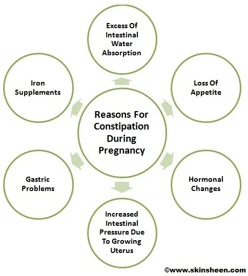 Constipation — Denver Holistic Medicine