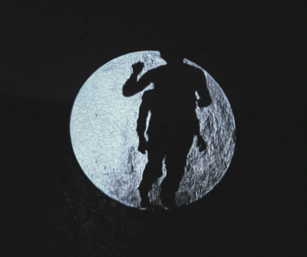 Tracing Night by Ed Pien — MOV | Museum of Vancouver